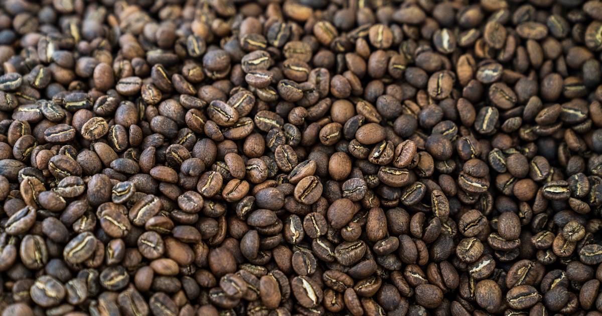 Snart skal Kenya kunne eksportere sin kaffe toldfrit til EU - Finans