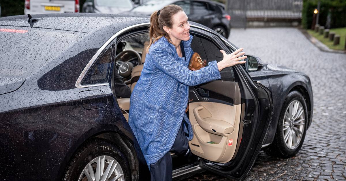 Styrelse kan genåbne minksagens efterspil. Ny direktør var tæt på ...