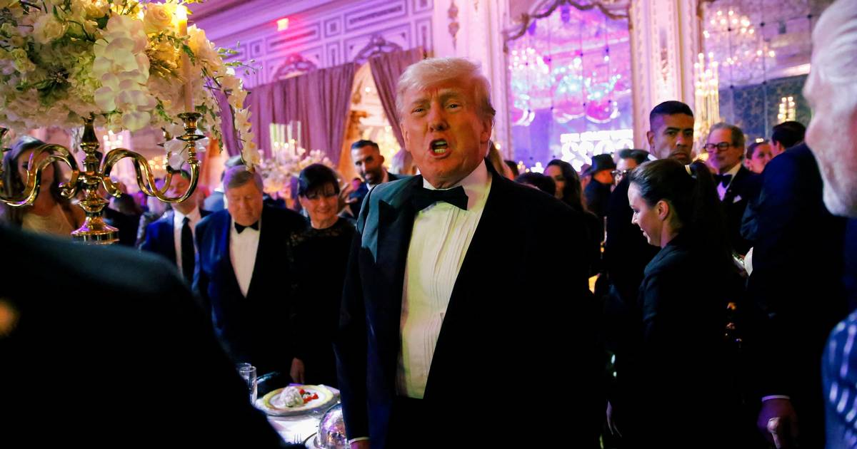 Professor: Donald Trump bliver formentlig tiltalt tirsdag - Jyllands-Posten