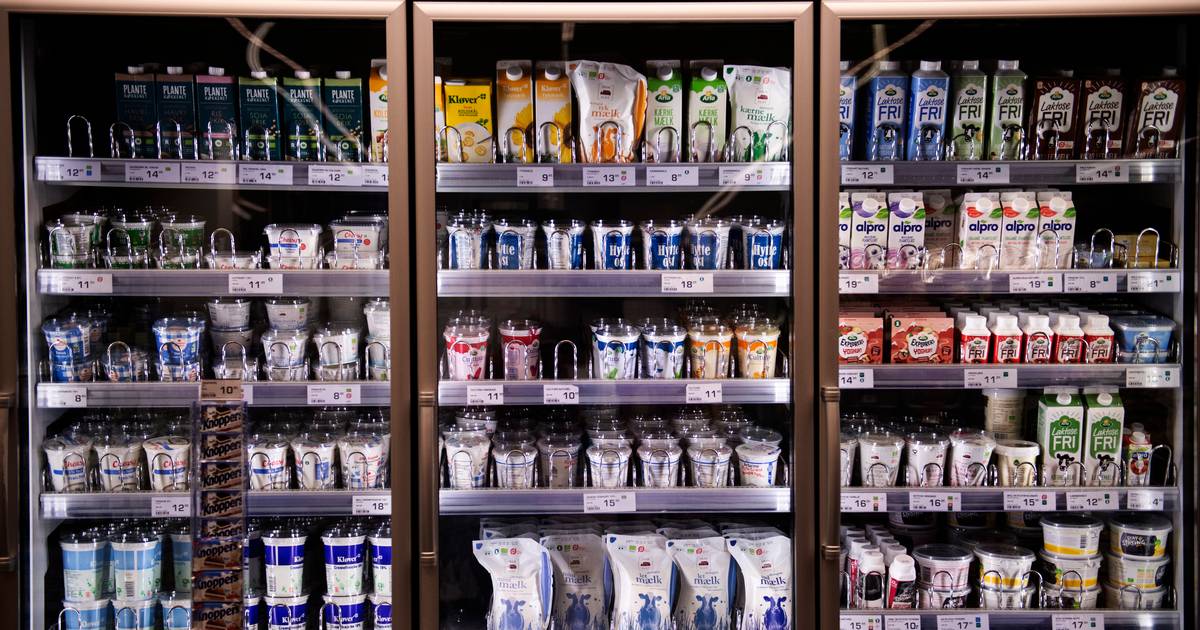 Supermarkeder sætter prisen ned på ost, mælk og smør - Finans