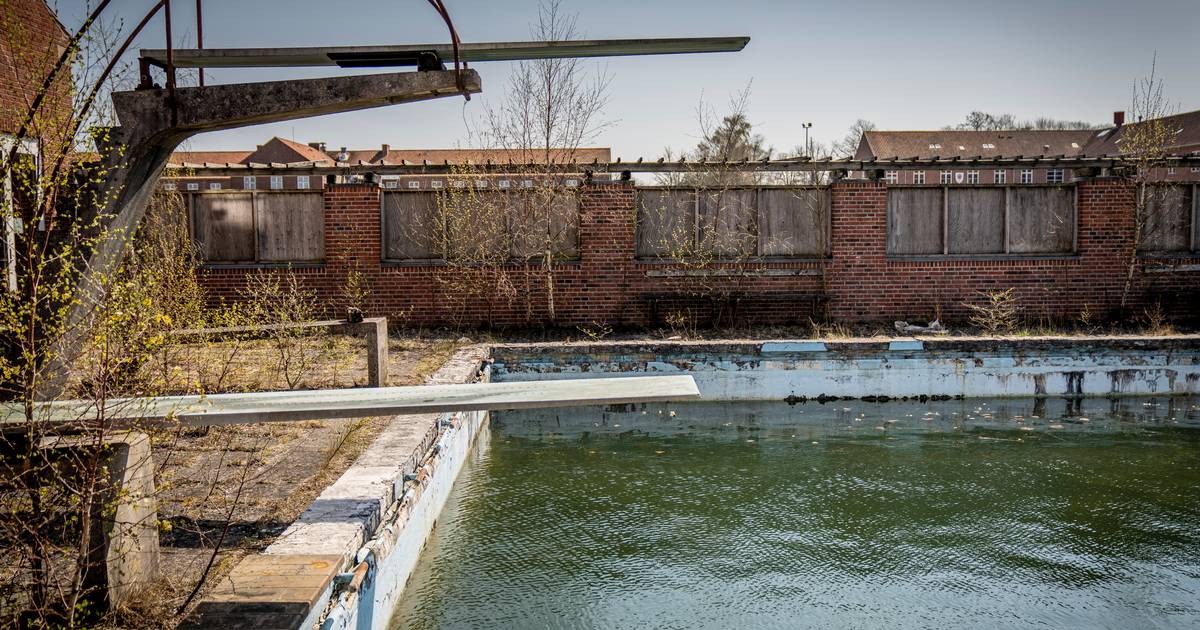 Oprydning eller oprustning? En kæmpe regning er på vej fra Forsvaret - Finans