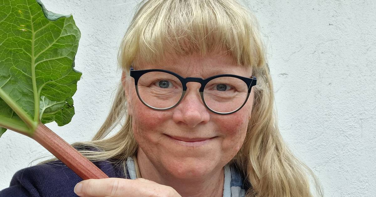 Hun har 1 mio. besøg om måneden: Gitte Hansen droppede fast job for at ...