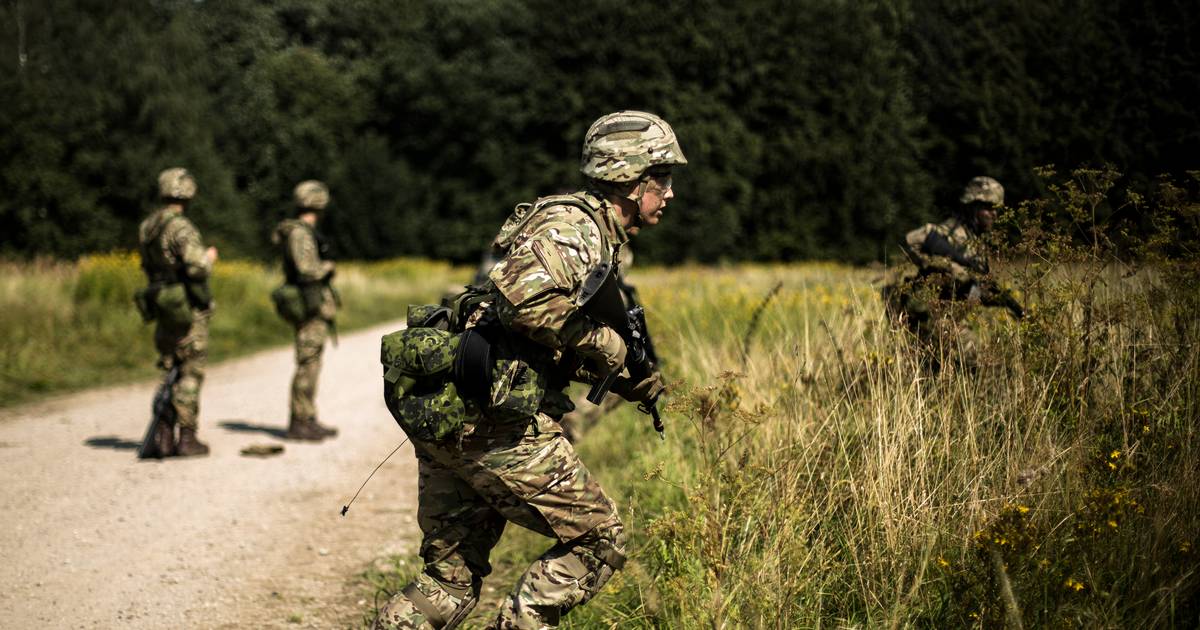 Værnepligten er igen til debat: I dag er den »spild af tid«, mener ...