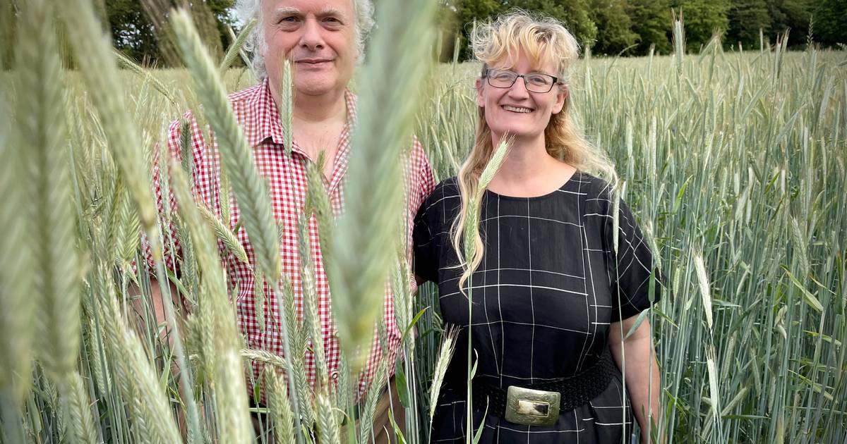 De har i mange år boet på landet: Nu skyder en ny bydel snart op ... De har i mange år boet på landet: Nu skyder en ny bydel snart op ...