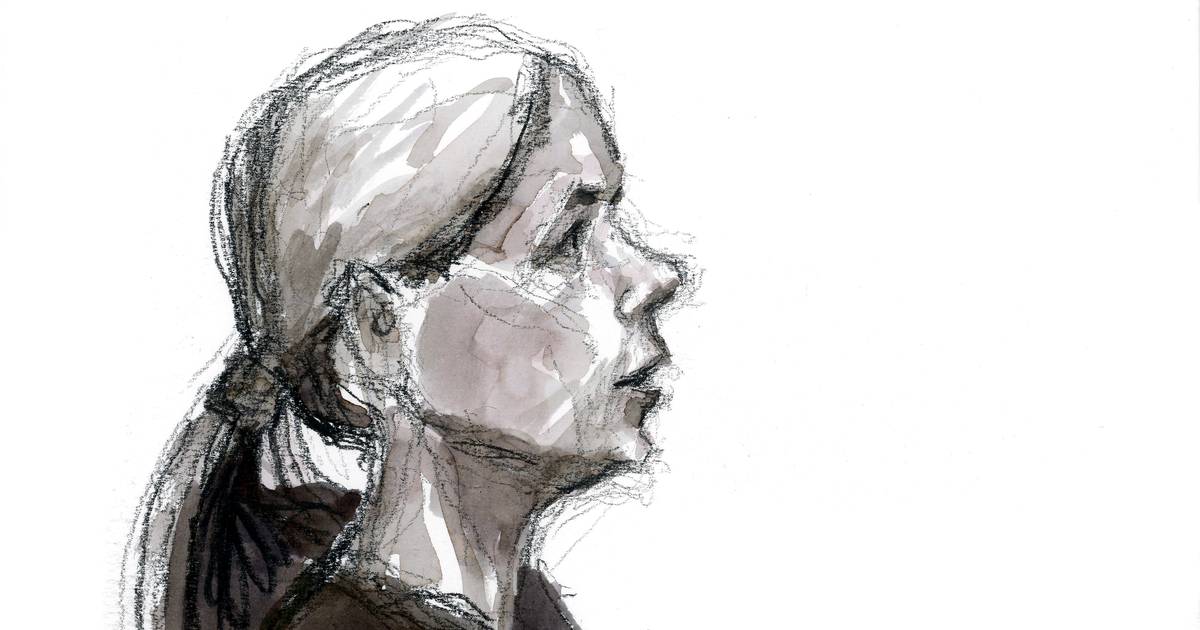 Her er anklagerens argumenter i drabssagen fra Aalborg - Jyllands-Posten