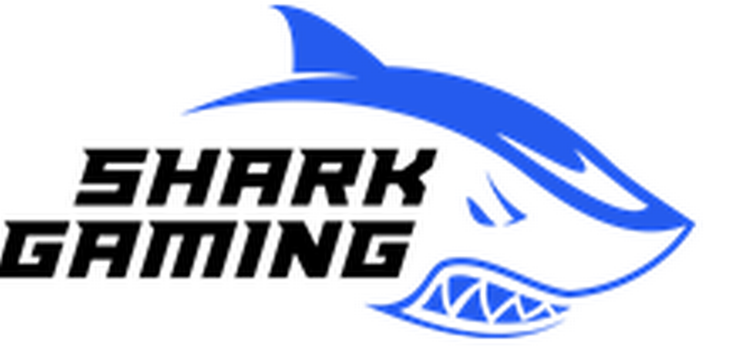 Vælg god kvalitet, når du køber ny gamer computer - Finans