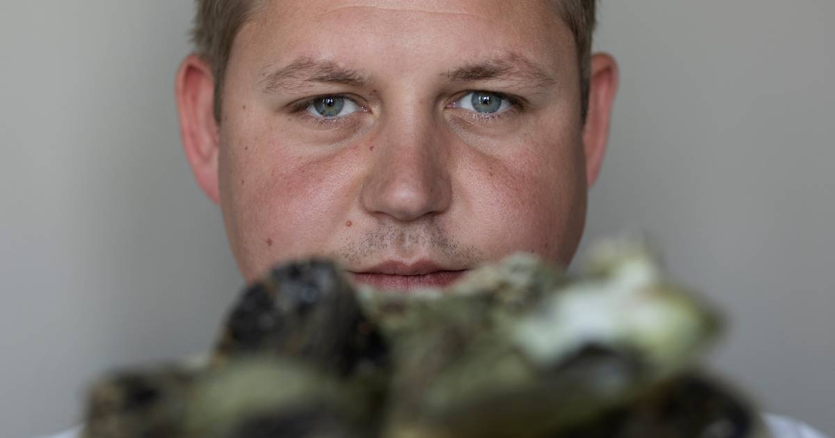 Novel laver selv duft til vådservietter: Oplevelsen skal være komplet