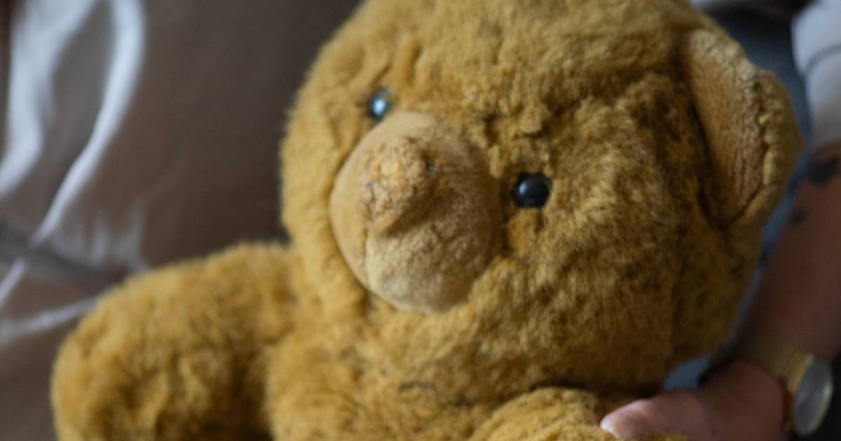 Bamsen lyttede, gjorde samfundet også?