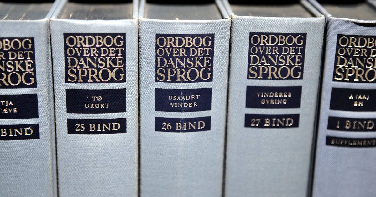 Det danske sprog bør sættes på plads i grundloven - Jyllands-Posten