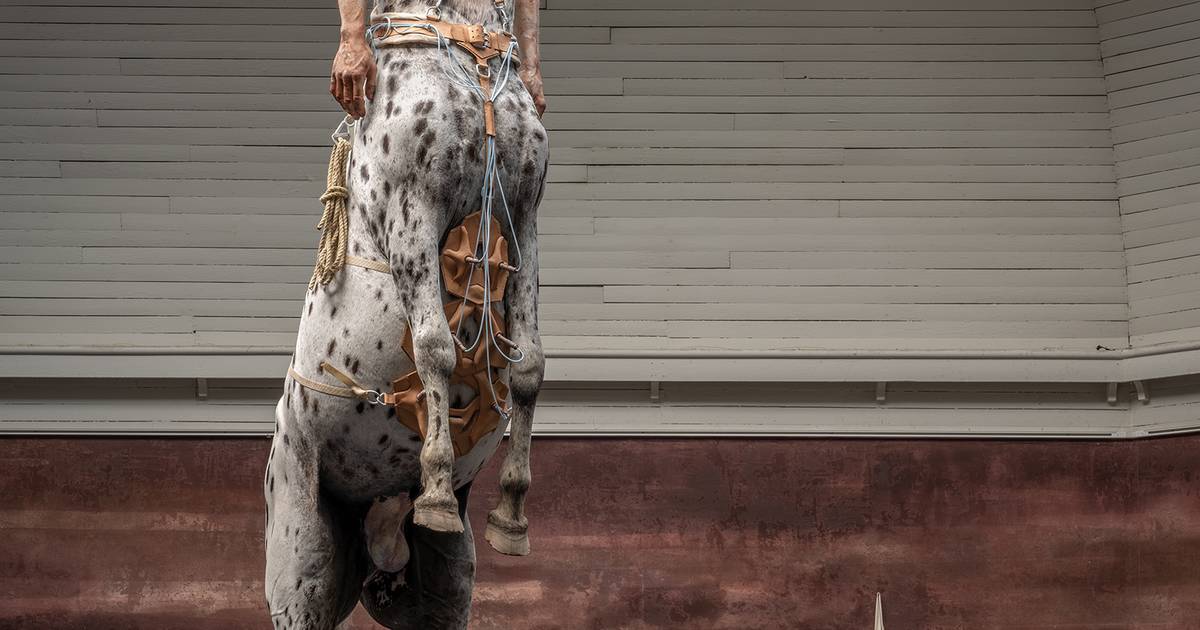 Uffe Isolotto fortsætter, hvor han slap i Venedig. Den Frie er blevet ...