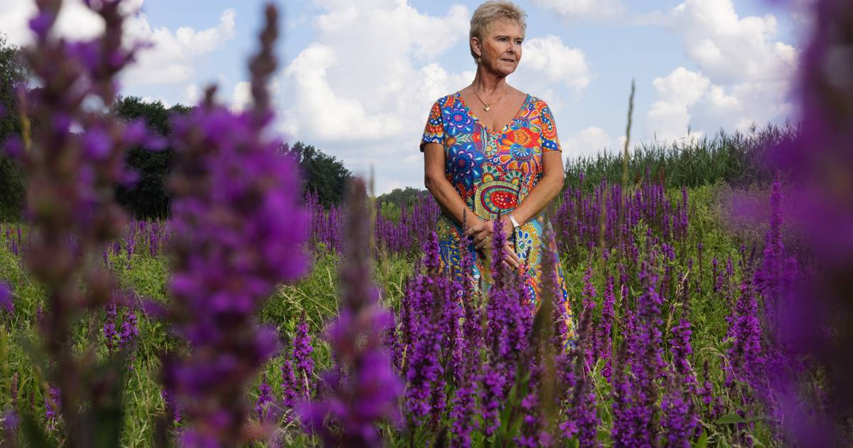 Fagbevægelsen afventer advokatundersøgelse om Lizette Risgaard