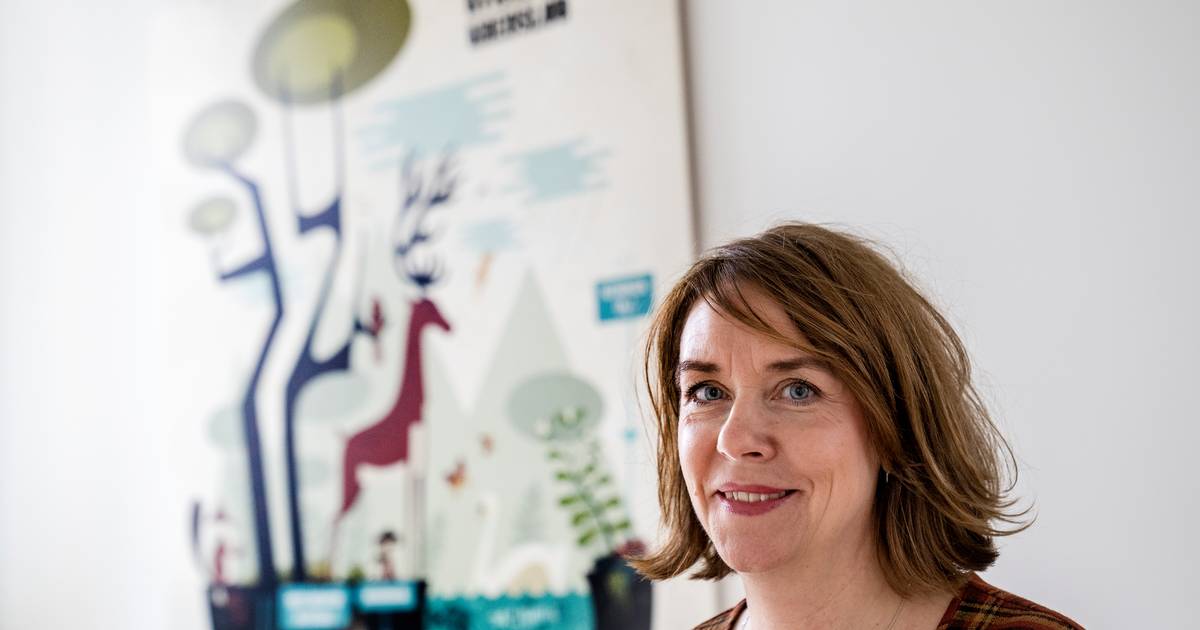 Københavns Zoo ansætter ny direktør efter intern uro - Jyllands-Posten