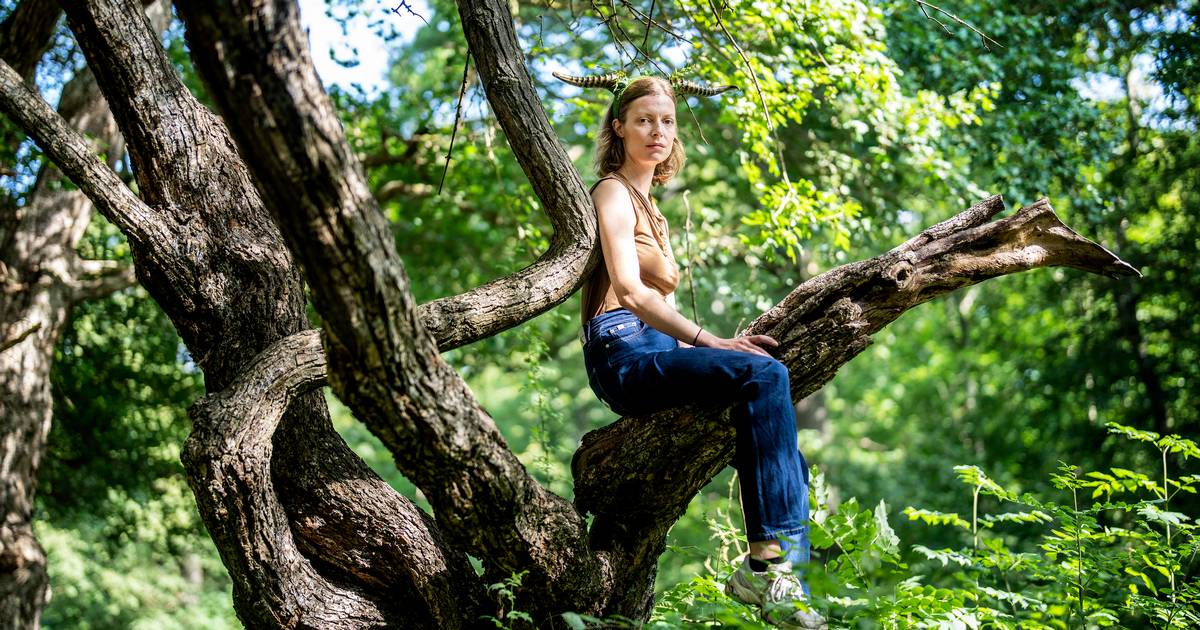 Hun lovede syv bøger i træk og blev skamrost af anmelderne. Nu skal ...