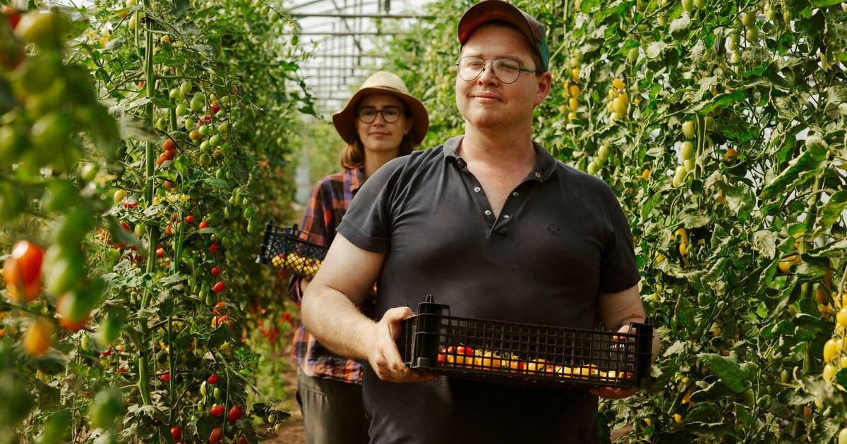 Ved Randers vil et par producere bæredygtige grøntsager på »en helt ...