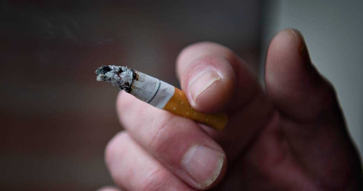 Rygning mangedobler risikoen for at udvikle psykisk sygdom - Jyllands ...