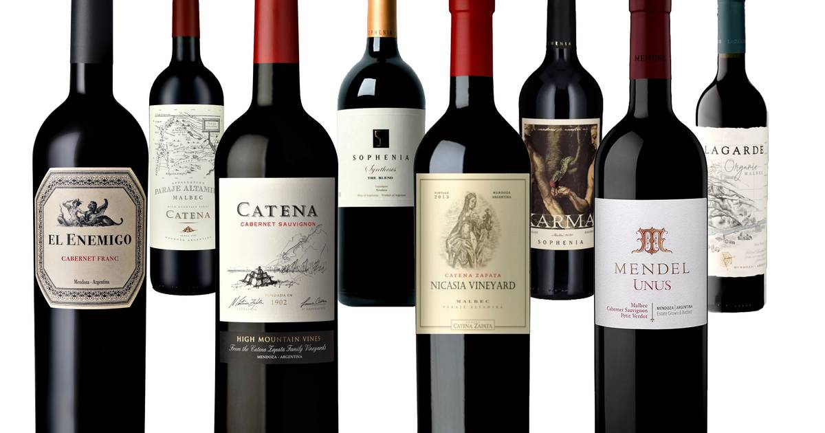 Vin i himmelhøjde - Finans