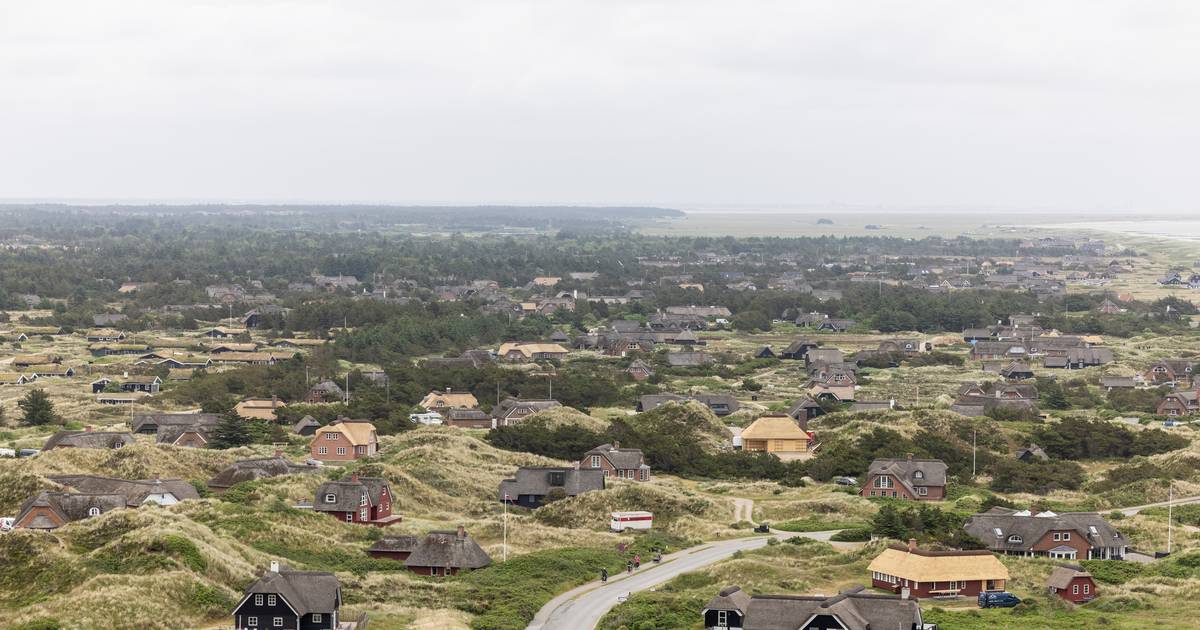 Regneark regerer over fakta og sund fornuft - Jyllands-Posten