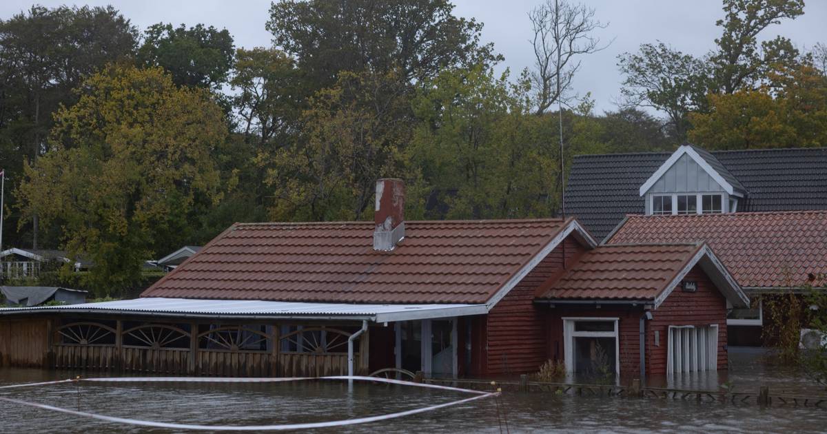 Forbrugerrådet Tænk advarer: Boligejere skal ikke regne med at blive holdt fuldstændig ...