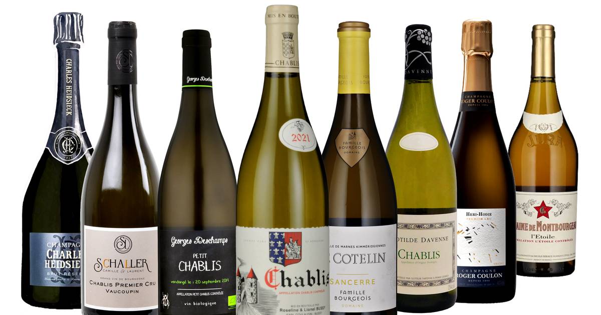 Man bider vel ikke frivilligt i en østersskal?