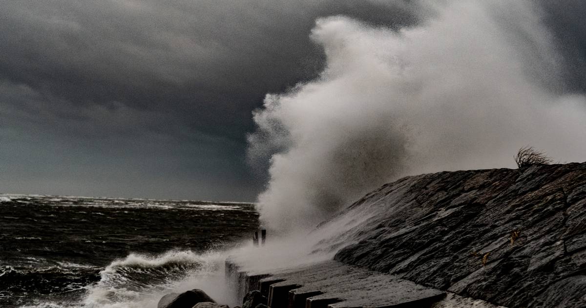 Stormen Pia kan lamme trafikken op til jul - Jyllands-Posten