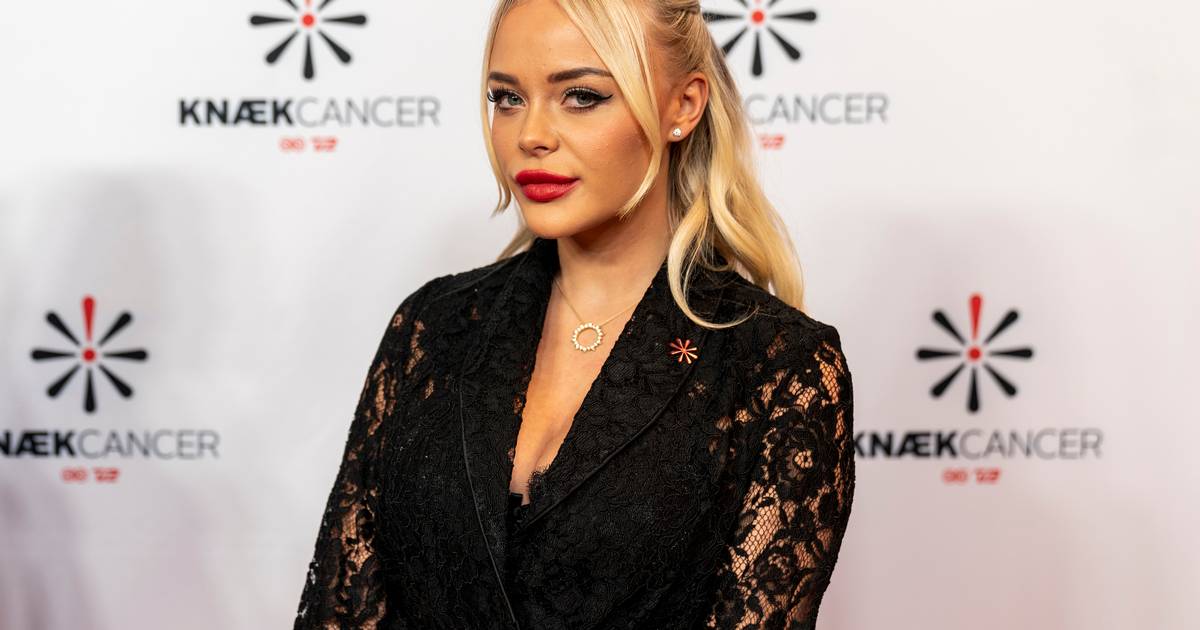 »Dette mareridt er kulminationen af flere måneders chikane, trusler og ...