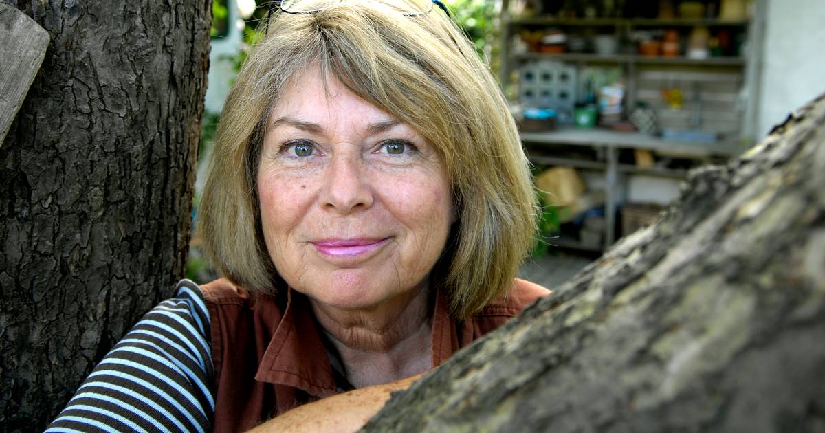 Staudebedet skal klippes og drivhuset vaskes ned: Brug påsken på at ...