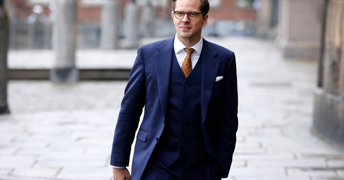 Skolevalget bød på en fed kat og forladte hunde, der ikke forstår et ...