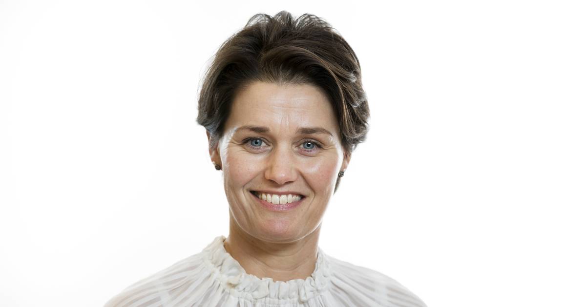 Det lyder for godt til at være sandt. Og det er det også - Jyllands-Posten