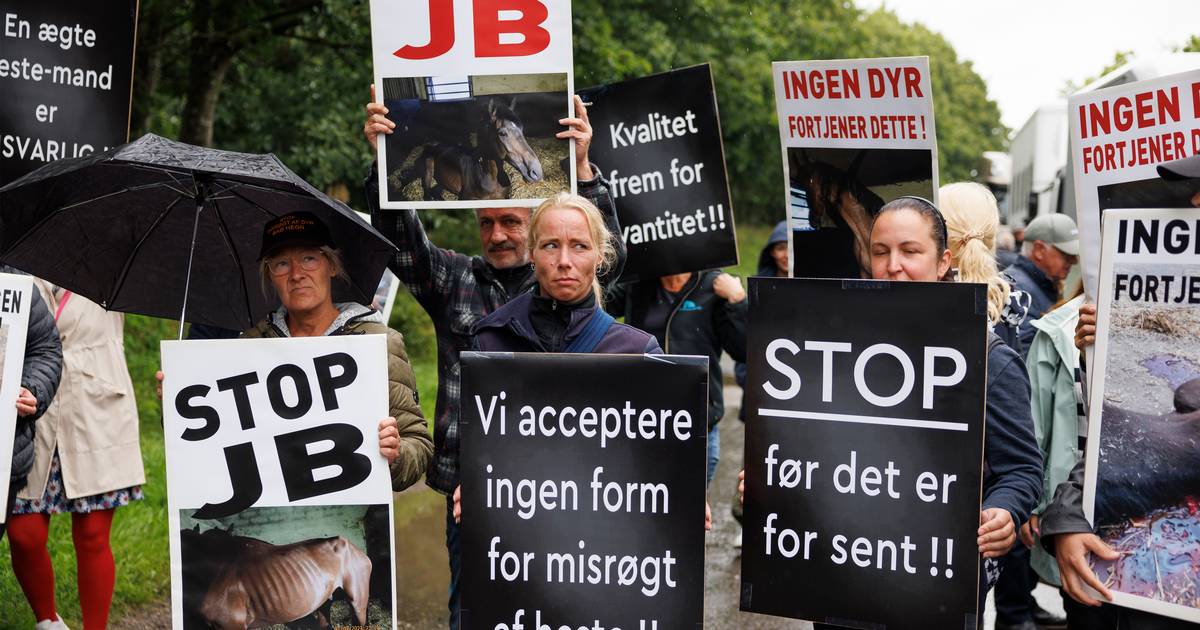 Omstridt stutteriejer afviser at have mishandlet heste - Jyllands-Posten