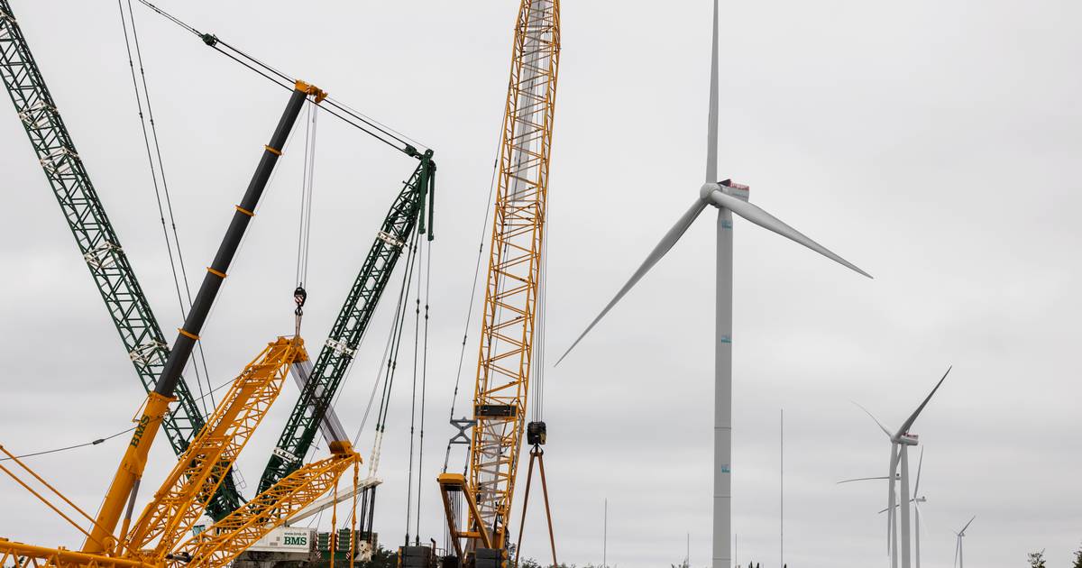 Når den grønne omstilling føles som en stor sort hånd - Jyllands-Posten