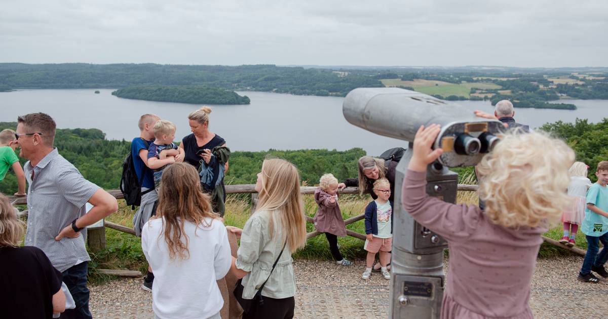 Fældning af træer sikrer mere himmel på bjerget - Jyllands-Posten