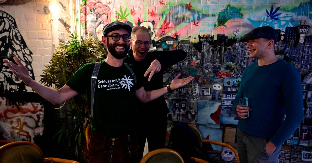 Tysk parlament har stemt for legalisering af hash - Jyllands-Posten