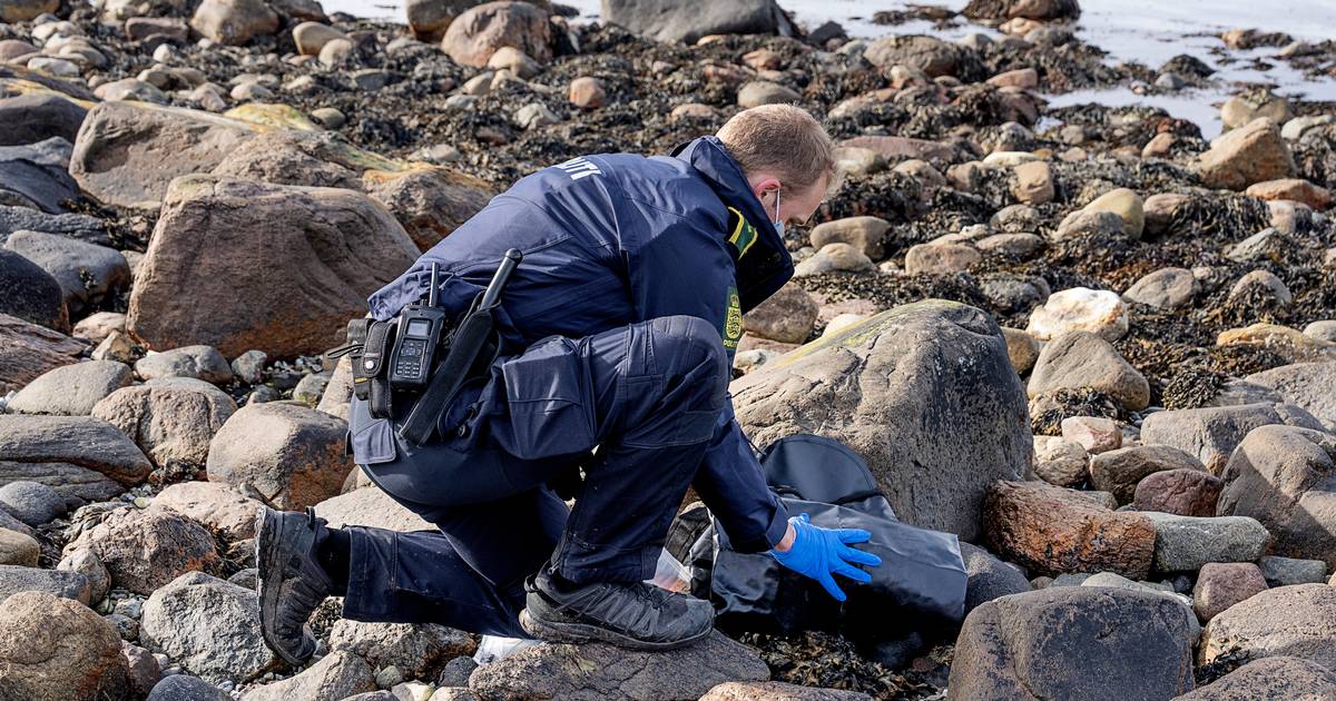 »Øresund er et knudepunkt for smugling i Nordeuropa« - Jyllands-Posten
