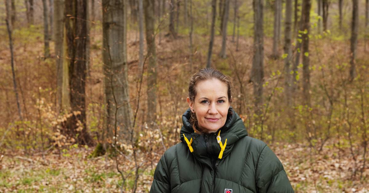 Midt i »historisk« CO₂-slagsmål kommer naturpræsident med opfordring: Dét kan ændre Danmarks ...