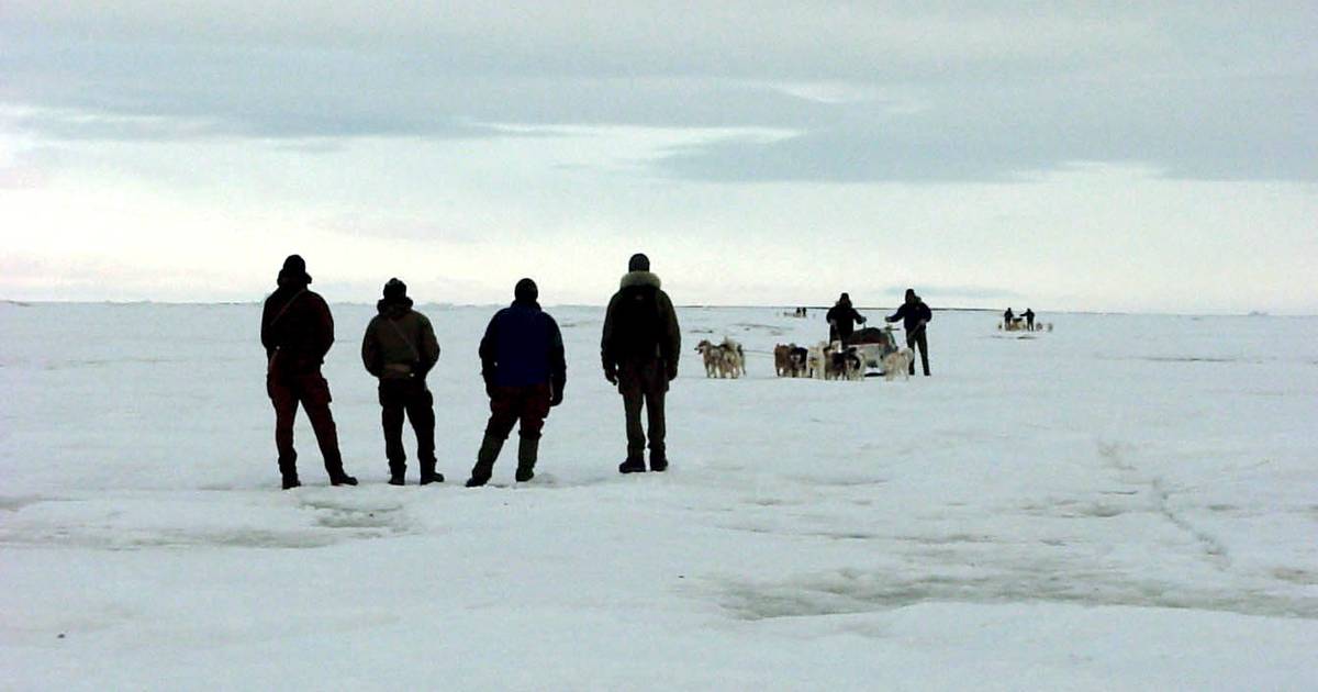 Siriuspatruljen stopper ekspedition i det nordligste Grønland ...