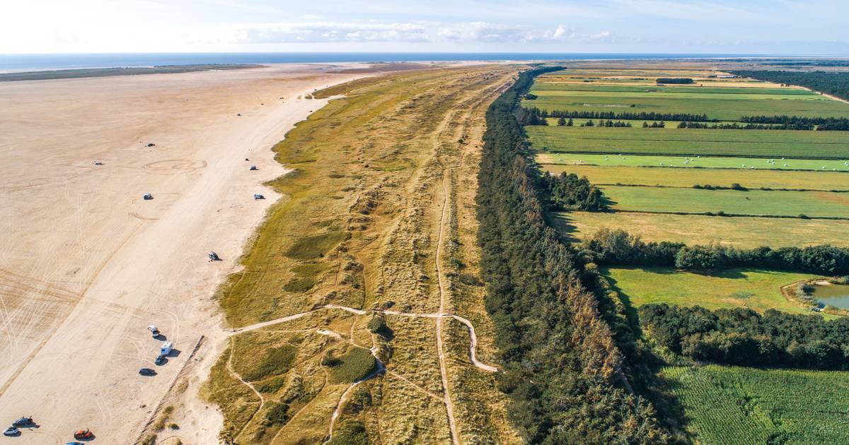 Antallet af danske strande med høj vandkvalitet og sikkerhed falder for ...