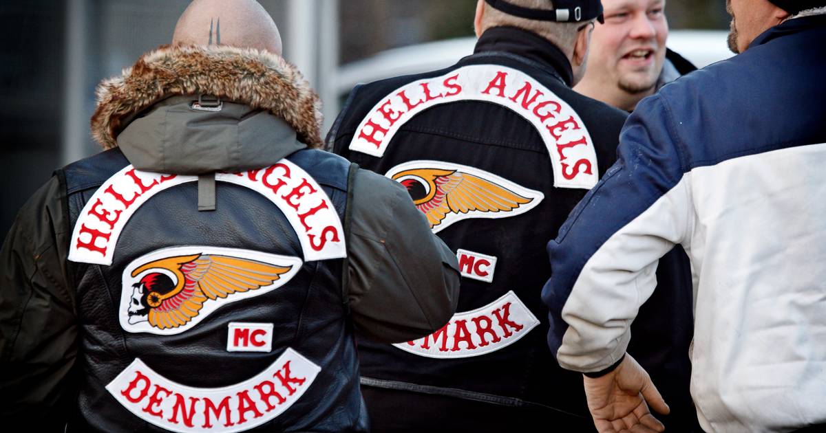 "Den sorte svane" er i virkeligheden en møgbefængt sort krage ...