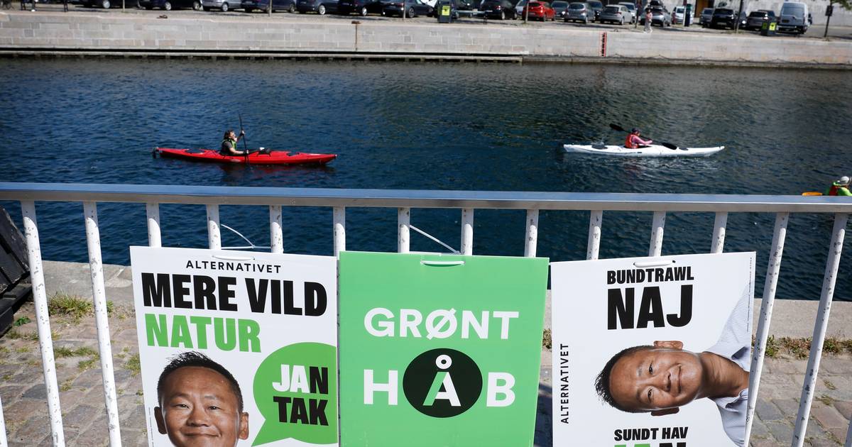 Alternativet håber at humor kan bane vej for første EU-mandat ...