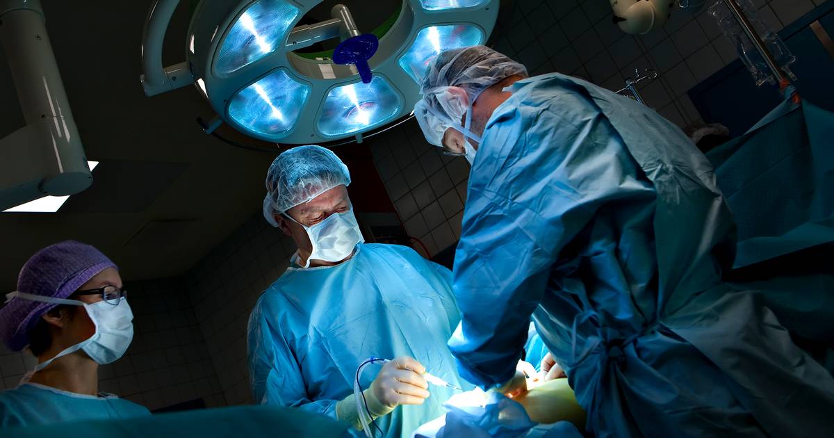 Her er de største ligtorne i sundhedsvæsenet - Jyllands-Posten