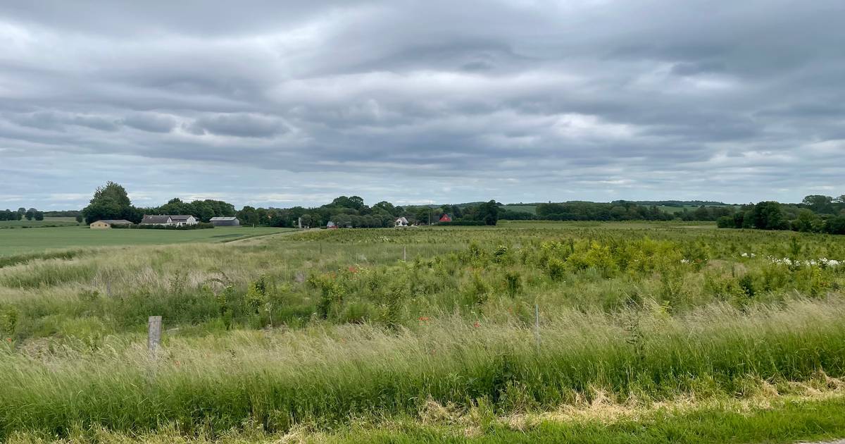 Svensk milliardvirksomhed lægger sig fladt ned: »Lugter af greenwashing ...