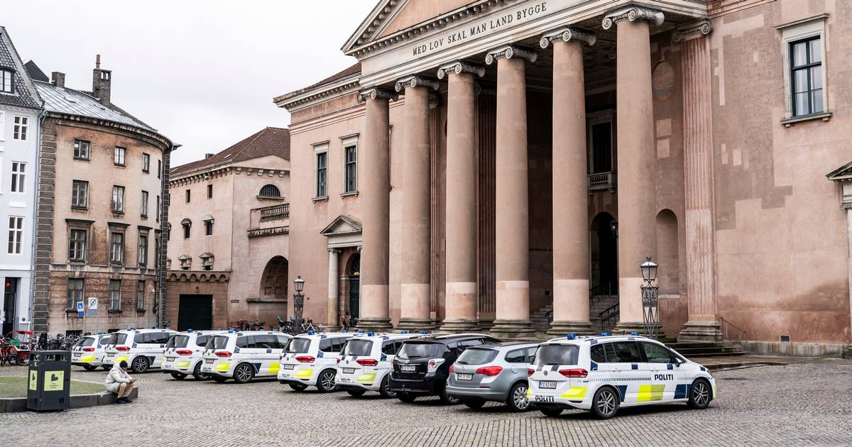 Seriesvindler varetægtsfængslet efter efterlysning - Jyllands-Posten