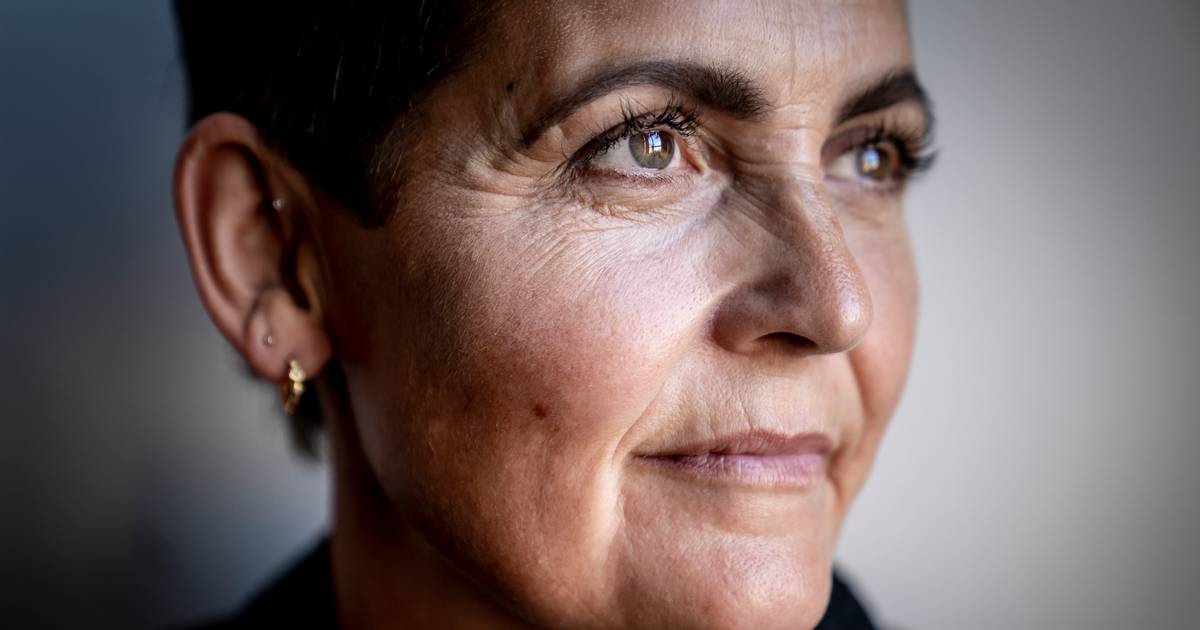 Pia Olsen Dyhr vil placere regningen for fremtidens forsvar på de riges ...