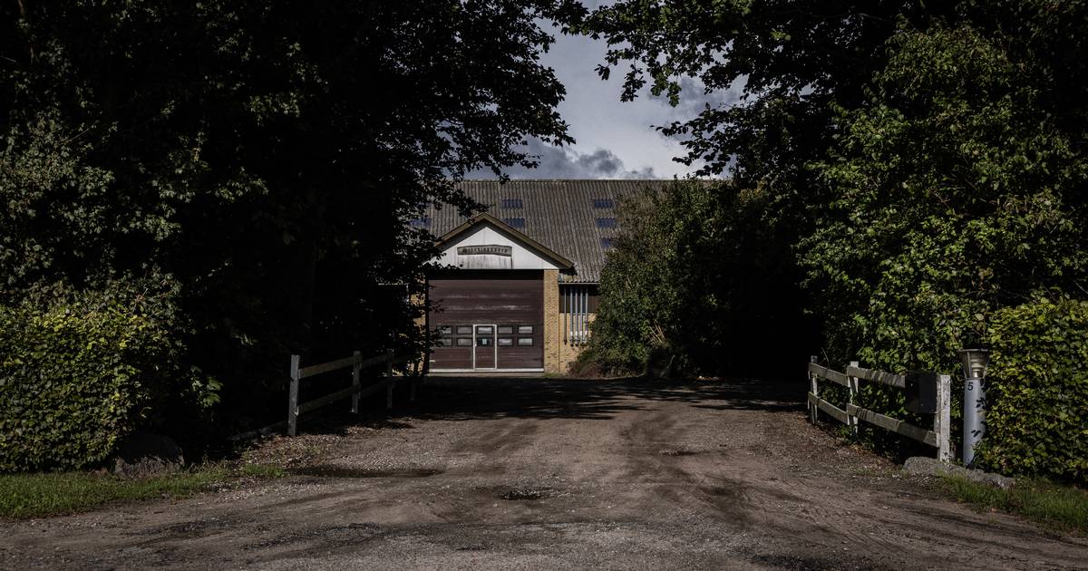 Tilsyn kendte til ulovligt anbragte børn – hvorfor blev det ikke lukket? - Jyllands-Posten