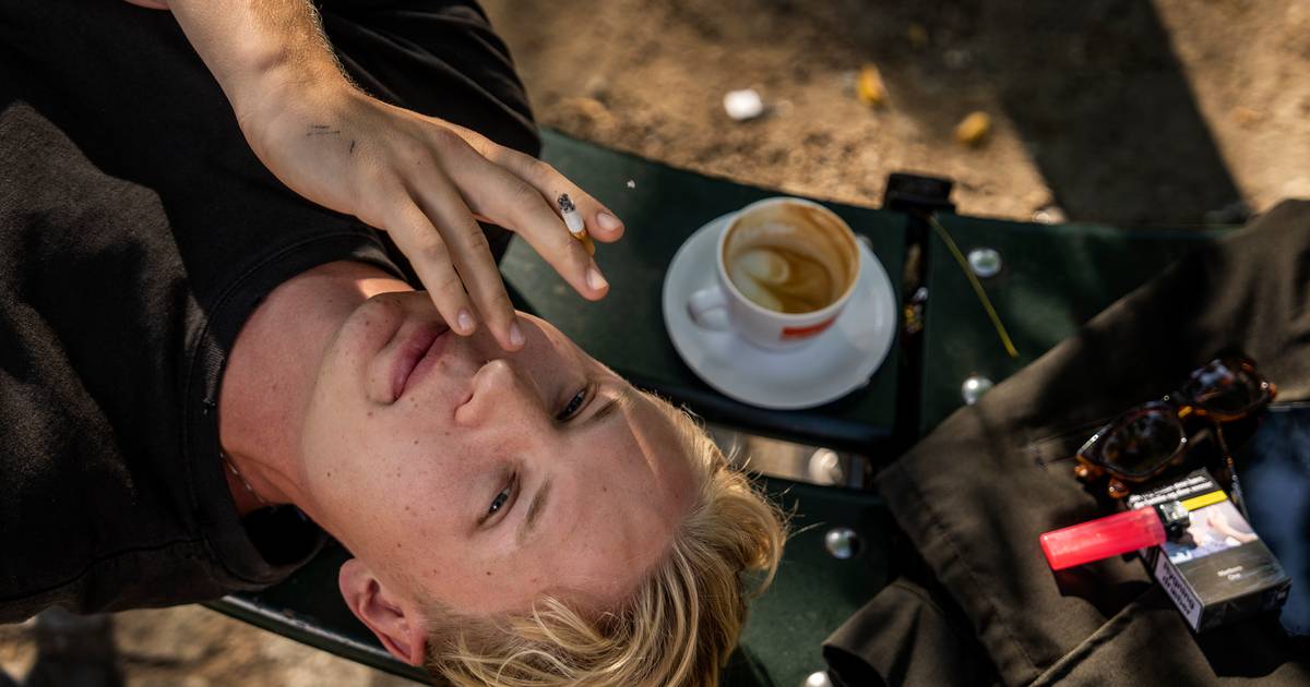 Adonis-komplekset er blevet mainstream - Jyllands-Posten