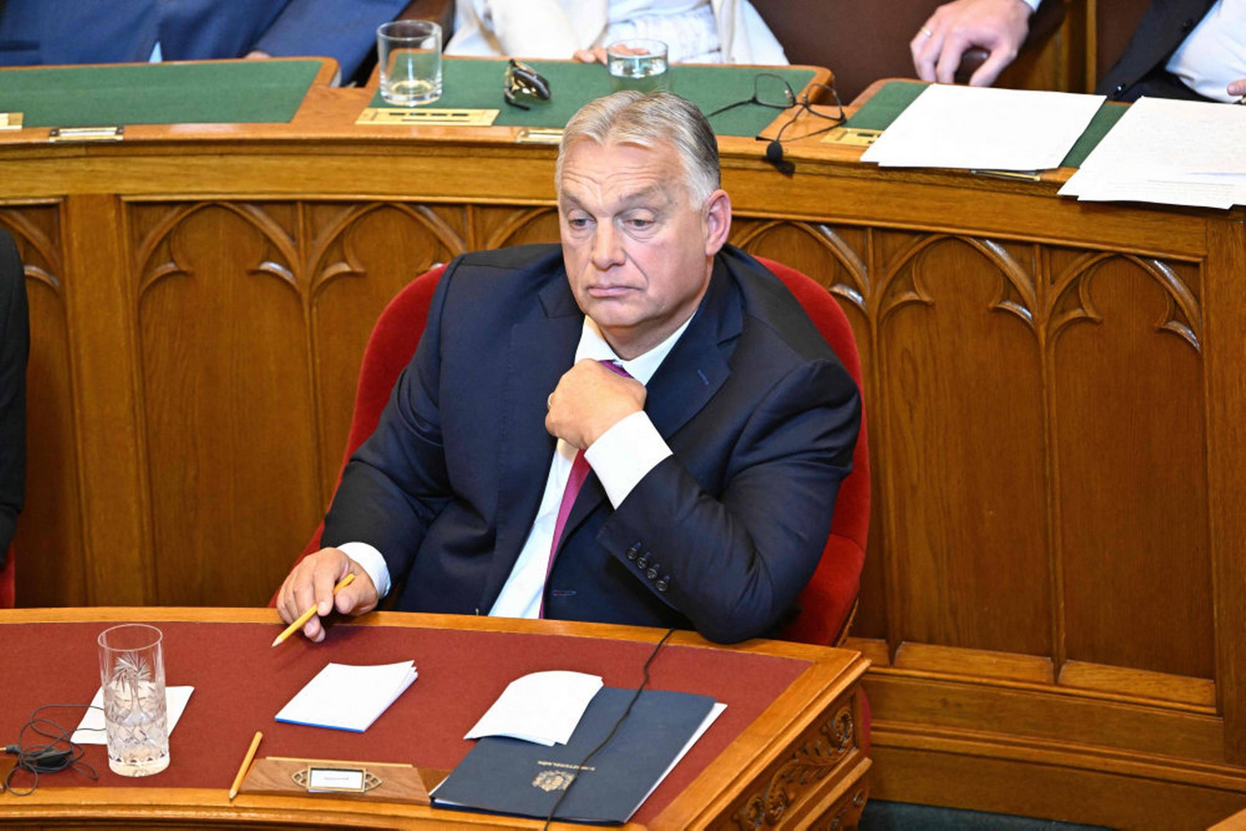 Ungarn indkalder Tysklands ambassadør til skældud - Jyllands-Posten