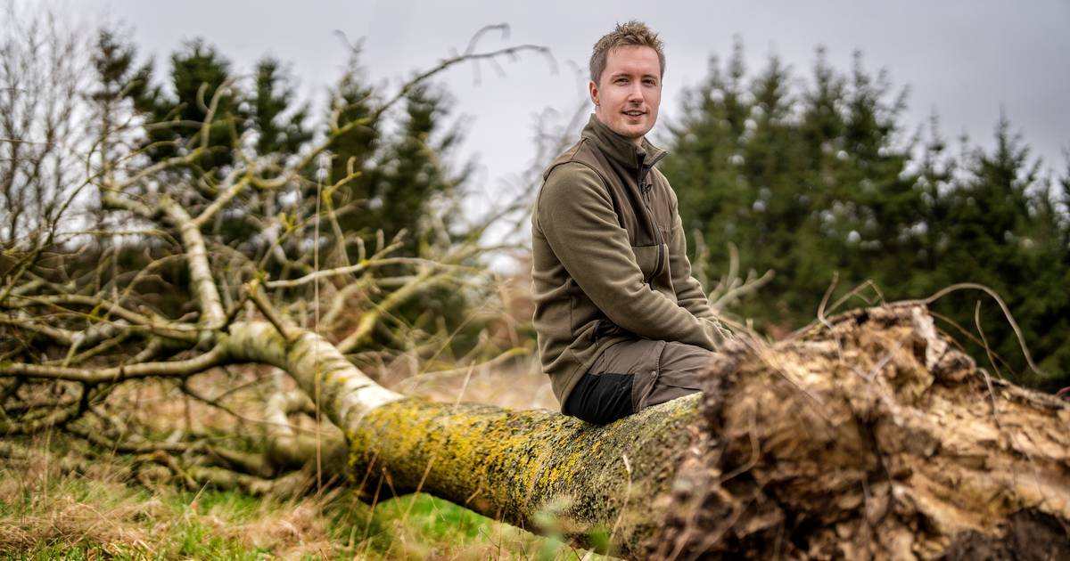 Jacob Mark har fået nyt job - Jyllands-Posten