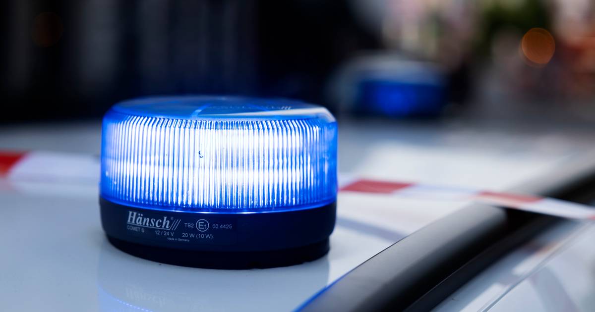 Fasar fra Den sorte svane er løsladt fra psykiatrisk afdeling ...