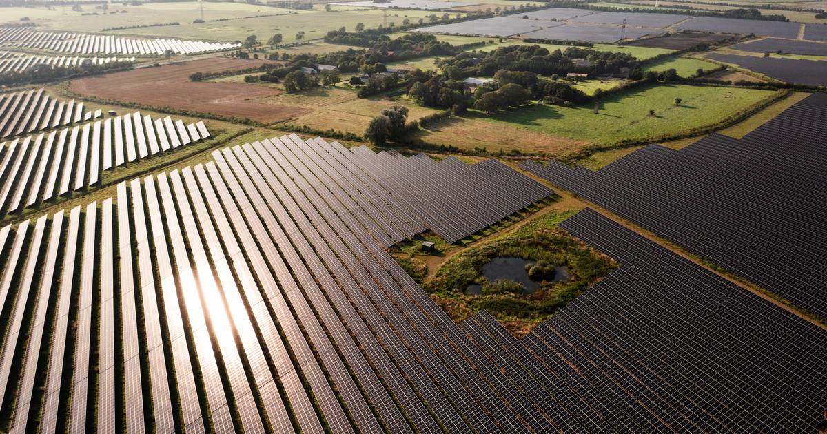 Solceller og vindmøller kan leve sammen med natur - Jyllands-Posten