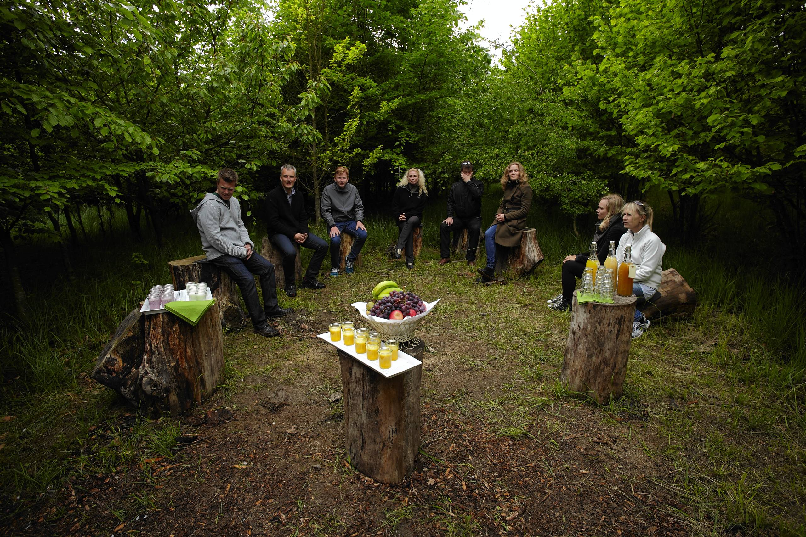 Kronik | Jyllands-Posten