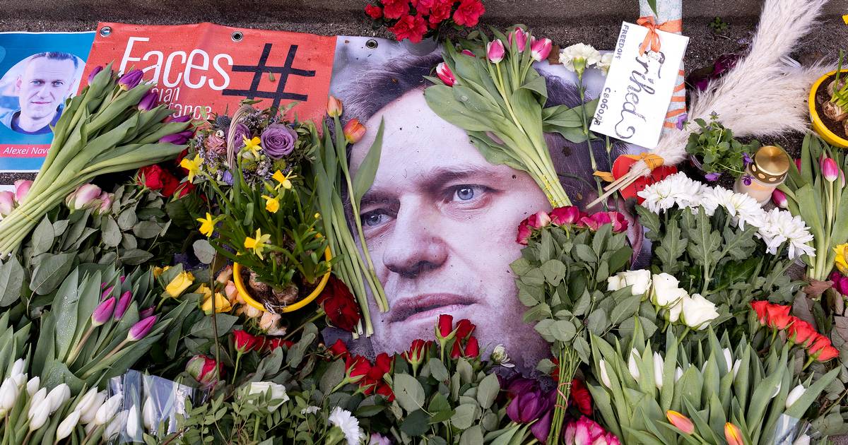 Navalnyjs advokater dømt til fængsel i Rusland - Jyllands-Posten